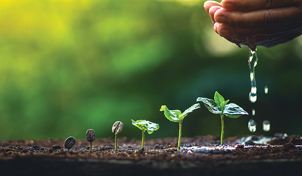 Sustainability - QI Group